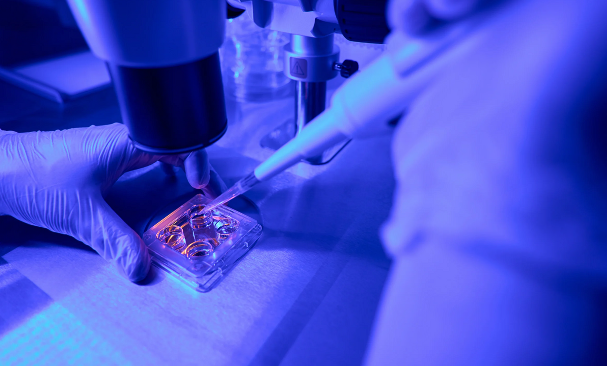 Understanding Sperm Morphology: Impact on Male Fertility and Treatment ...